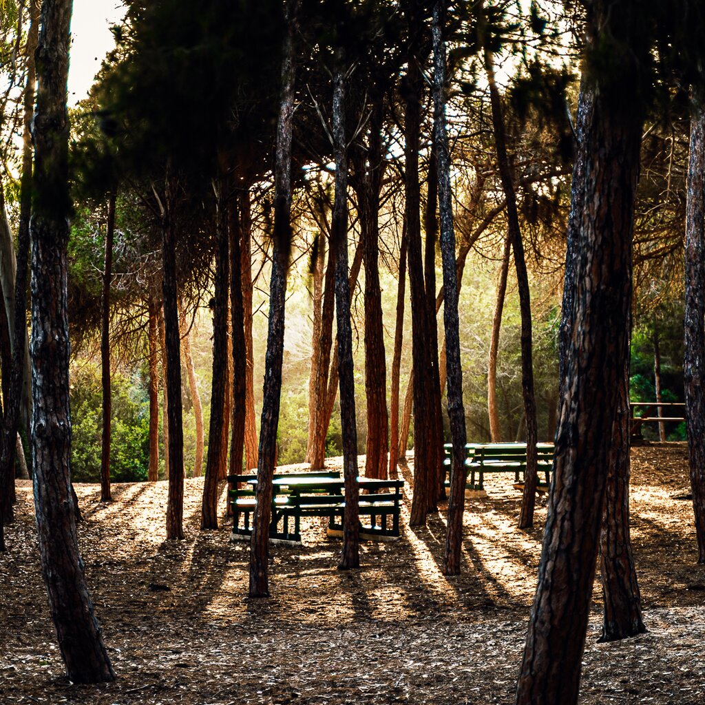 Randello nature reserve: unspoiled nature and coastline