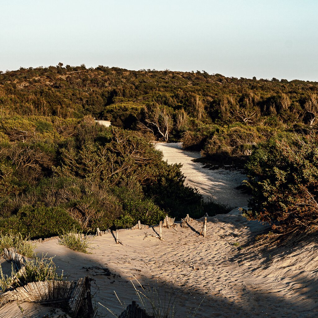 Randello nature reserve: unspoiled nature and coastline