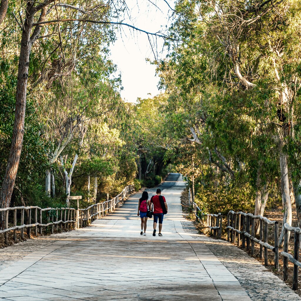 Randello nature reserve: unspoiled nature and coastline